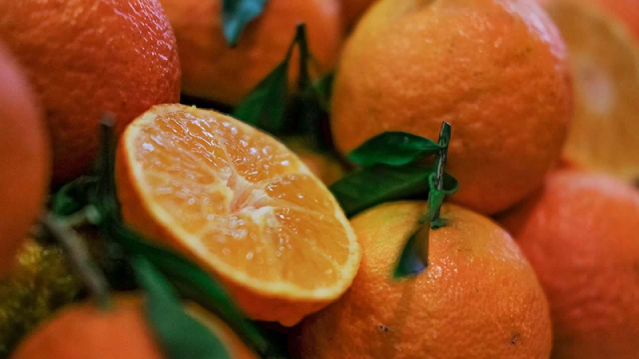 Properties of Bitter Orange: From History to Benefits and Nutritional ...