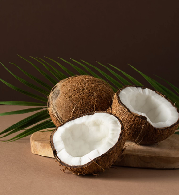 Coconut: A Tropical Fruit with Unique Properties | ALIFARD CO
