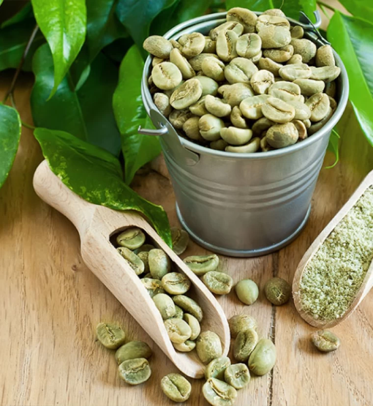 Magical Green Beans: A Journey into the Properties of Green Coffee | ALIFARD CO